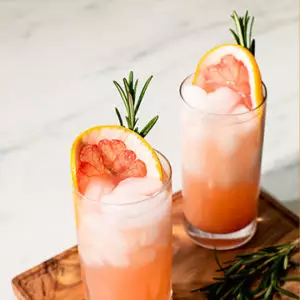 Cathead Distillery - Sip Of The South | Bourbon, Vodka, & Gin